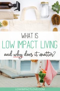 Low Impact Living: A Beginner's Guide to Sustainability - Low Impact Love