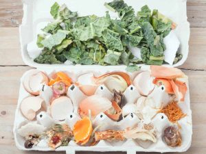 10 Low-Waste Living Tips to Succeed at Sustainability - Low Impact Love